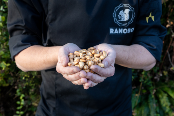 Ranobo nuts & dried fruit | Open bedrijvendag