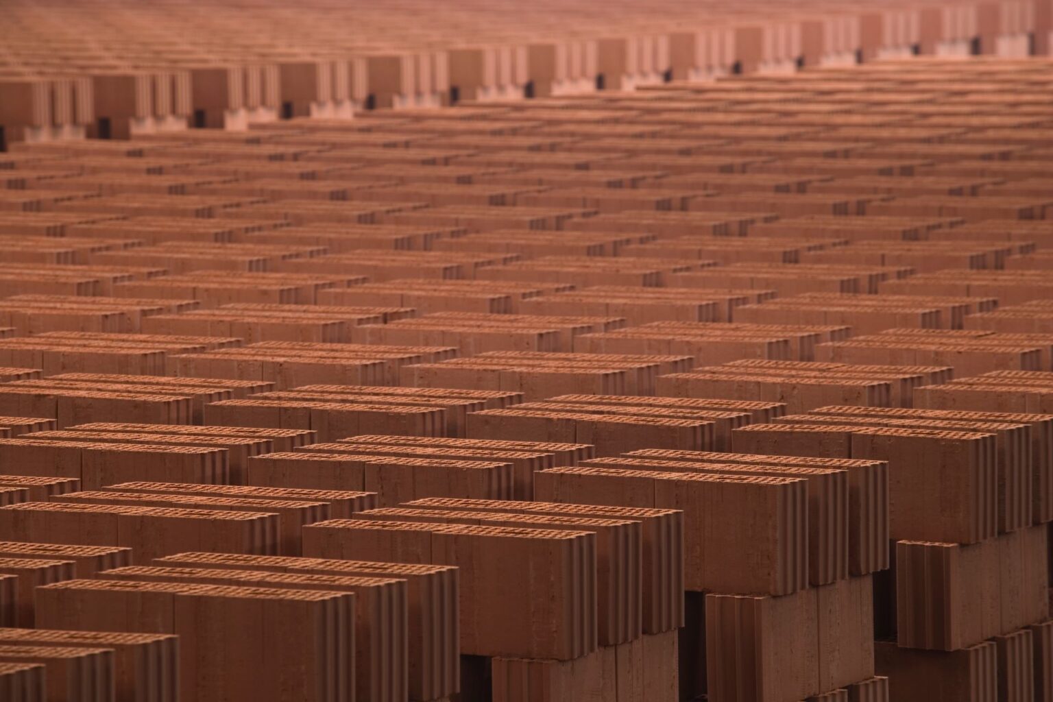 Ranobo nuts & dried fruit | Open bedrijvendag